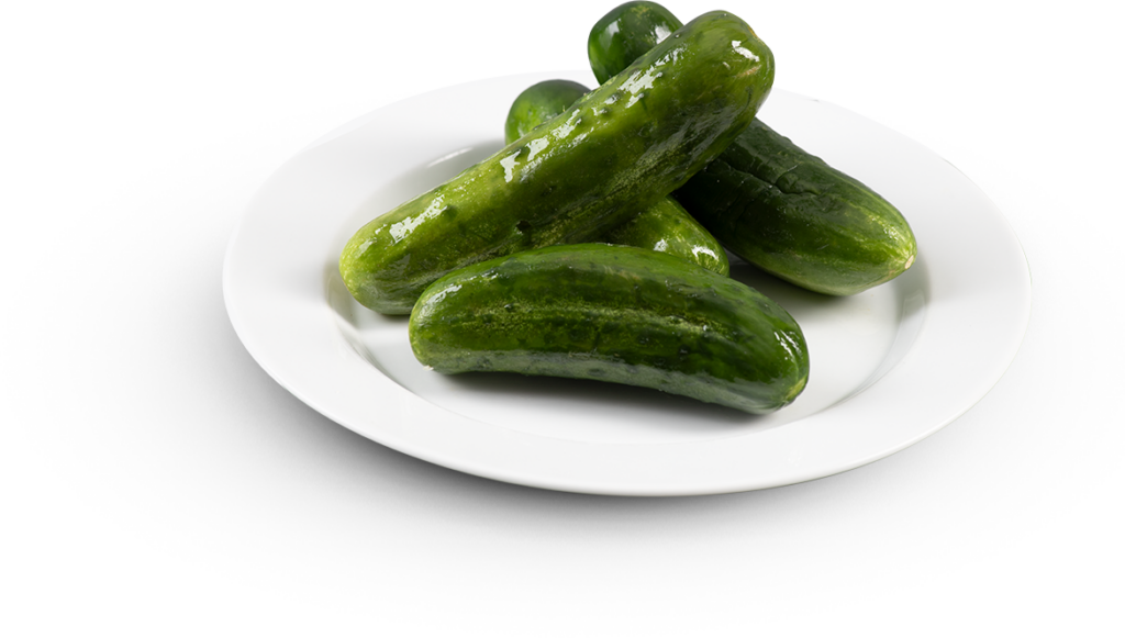 PICKLES – Ba-Tampte